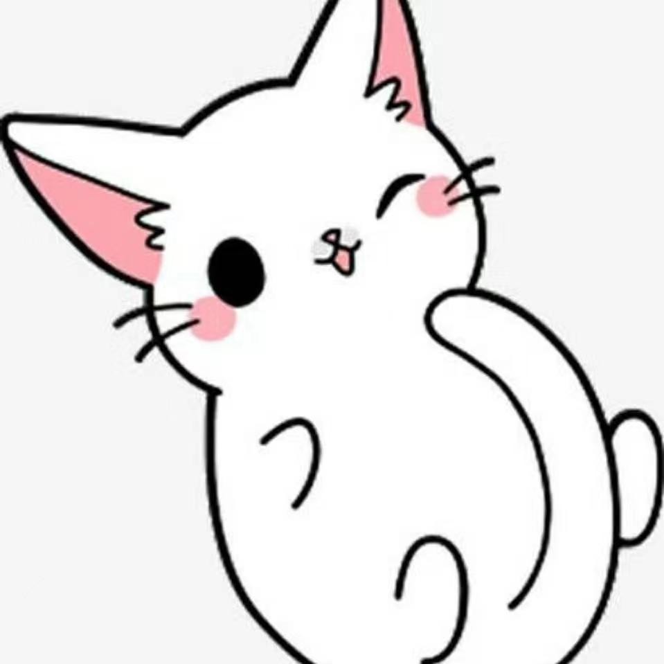 星猫的RC 