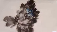 砚云墨牡丹的画法 (2)