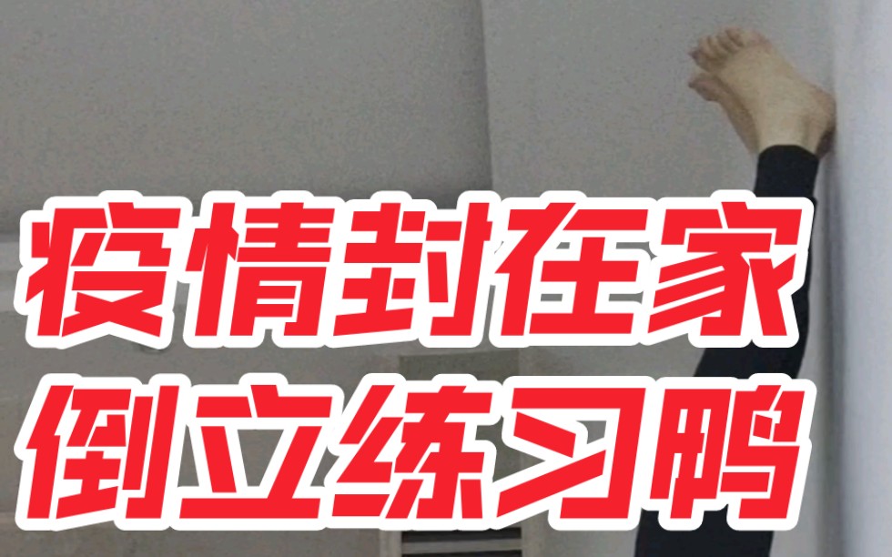 手倒立三角头倒立,循环练习