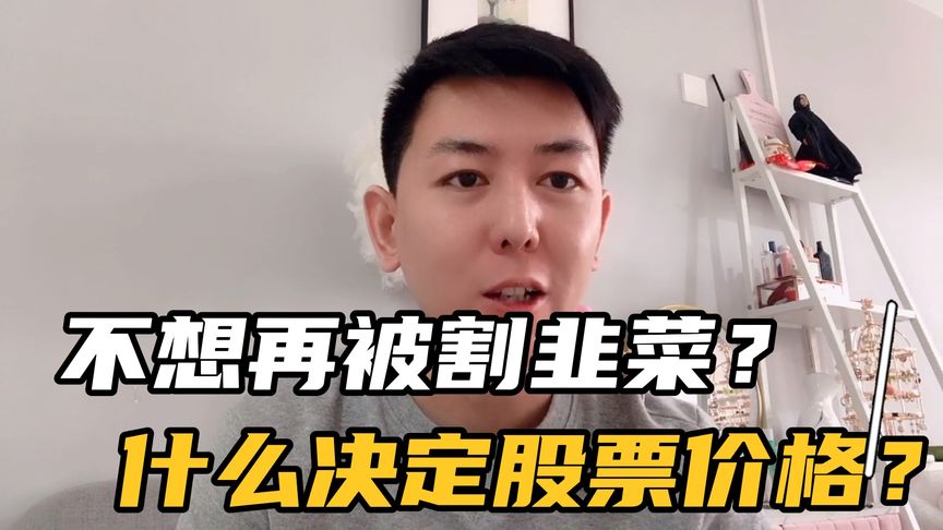 不想再被割韭菜?听行内人揭秘什么决定了股票价格