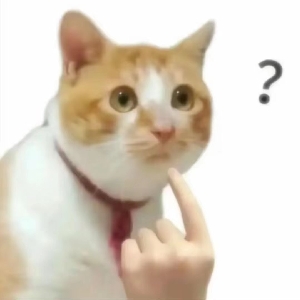 学规划的橘 