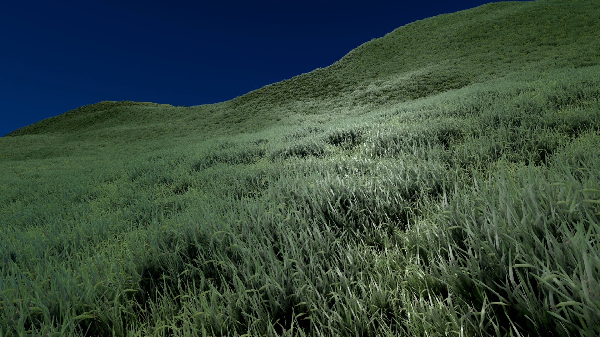 Unity大规模草地渲染