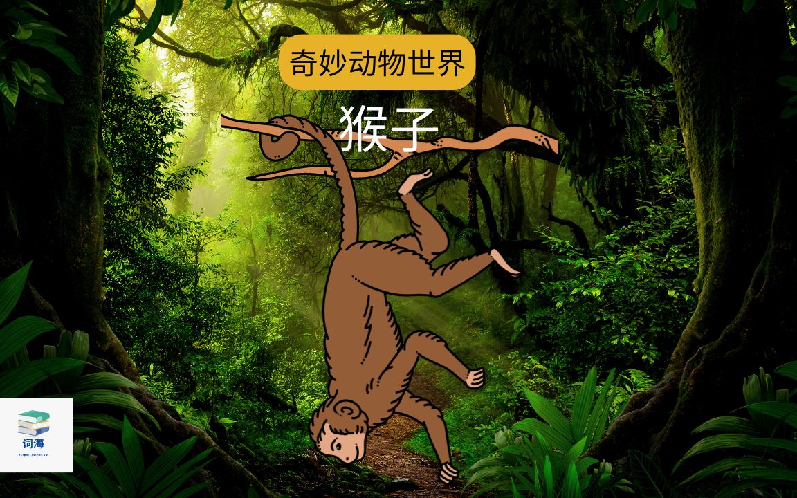 奇妙动物世界猴子