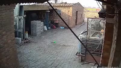 偷狗的太猖獗了!