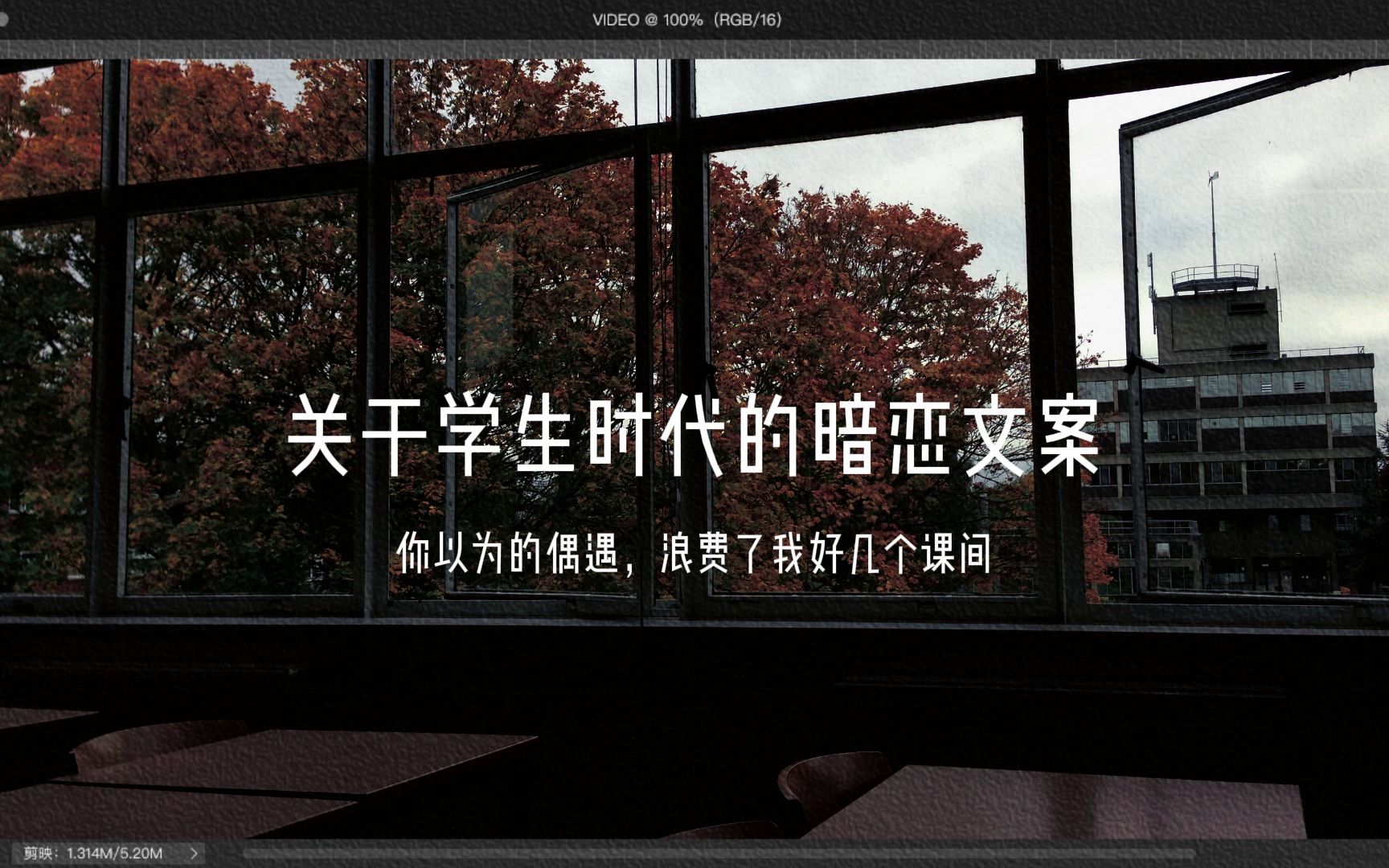 关于学生时代的暗恋文案 | 你以为的偶遇 浪费了我好几个课间