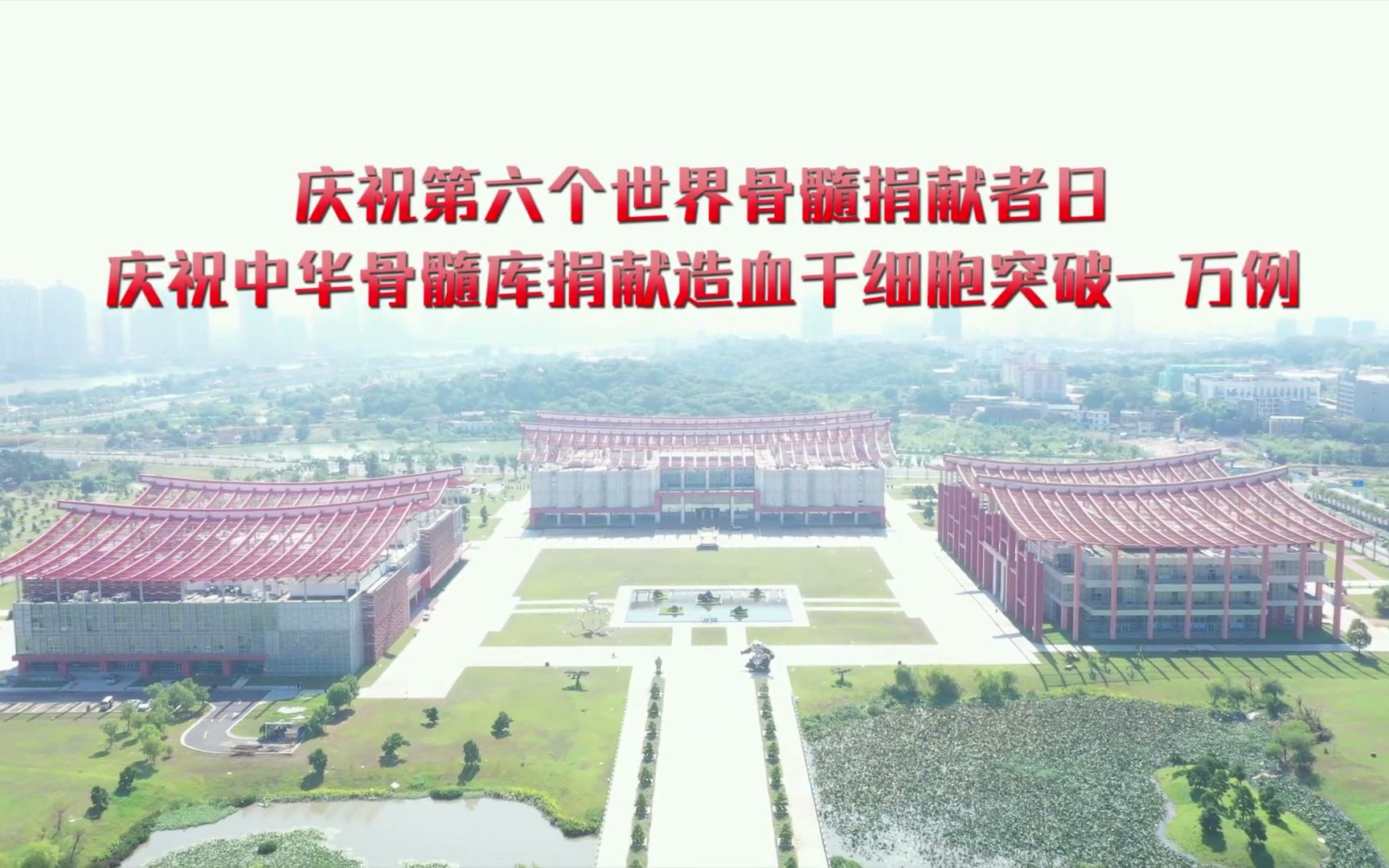 漳州市红十字会纪念2020世界骨髓捐献者日