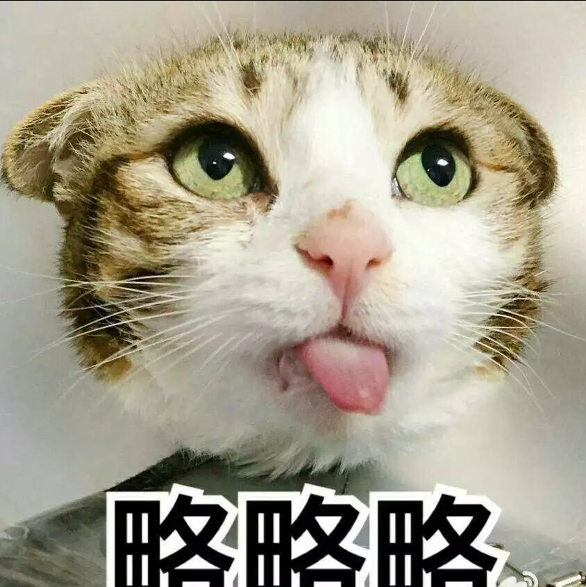 不想动的咸鱼哥 