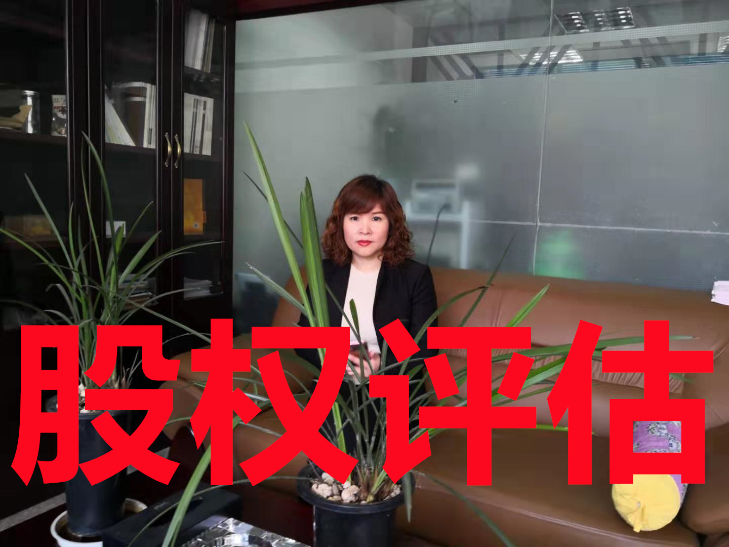 四川成都都江堰股权整合资产评估,股权整合资产评估排名
