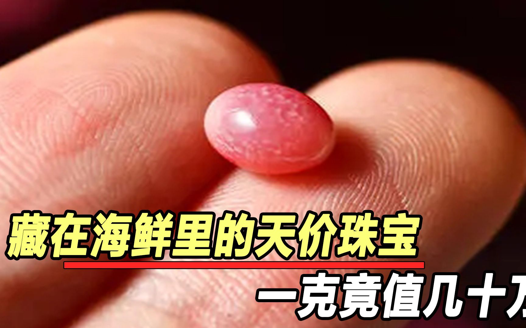 海螺珠号称:珍珠界的“劳斯莱斯”,1颗买一套房,凭啥这么贵?