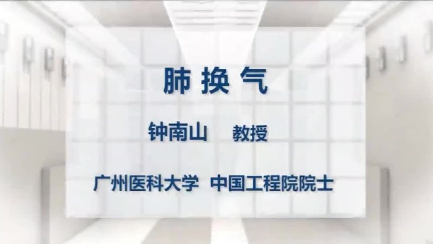 3肺换气(呼吸系统)