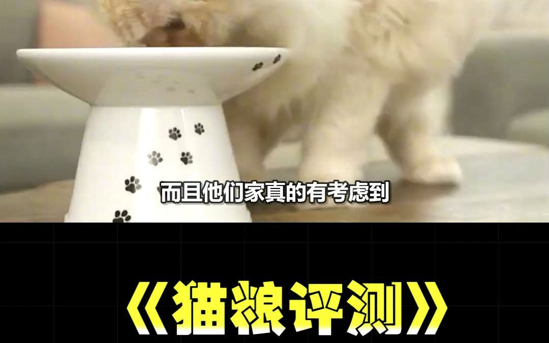 猫叔猫粮测评,诚实一口猫粮怎么样? #猫粮