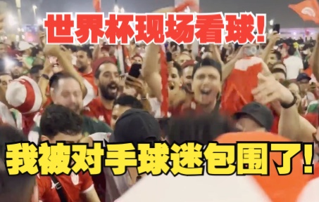 镜头一转,咱就来到世界杯现场了啊