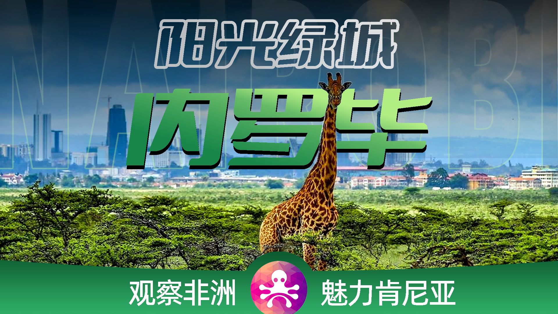 7分钟了解内罗毕:东非经济引擎,被誉为非洲的阳光绿城