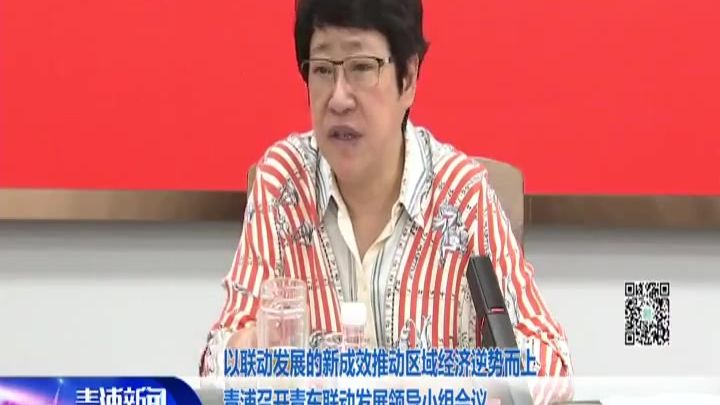 以联动发展的新成效推动区域经济逆势而上 青浦召开青东联动发展...