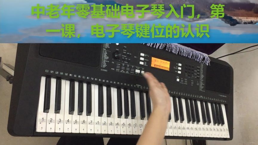 中老年零基础电子琴入门教学,左手和弦技巧,右手弹奏指法讲解