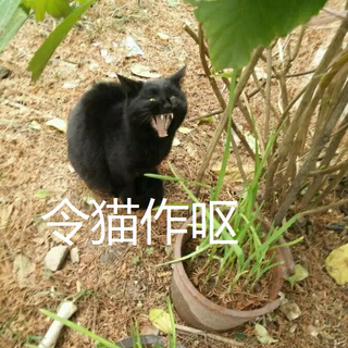 复仇男神1994