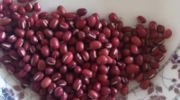 祛湿利器:红豆薏米芡实茶!你喝了吗?