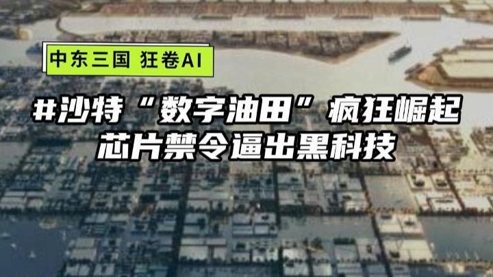 【中东三国 狂卷AI】之沙特“数字油田”疯狂崛起,芯片禁令逼出黑科技?