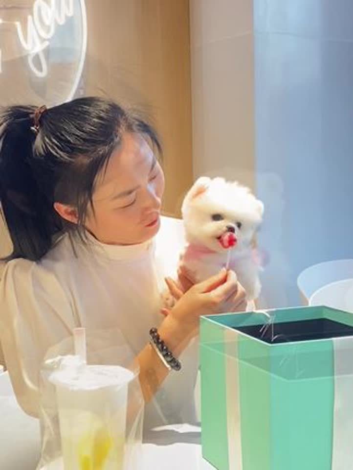 好甜的狗狗#汪星人秀场 #爱宠萌宠 #狗狗治愈系小视频