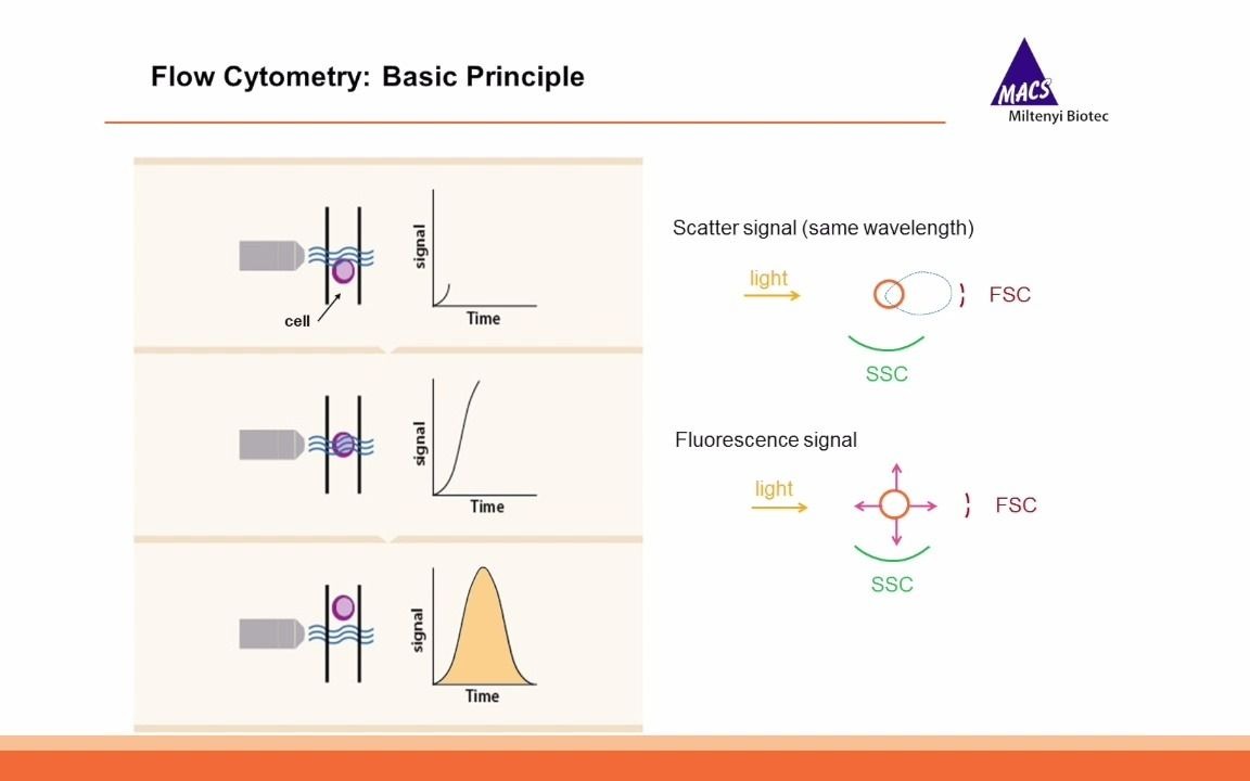 【实验操作指导】外泌体如何分选和检测