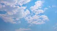 用选择结构程序做出判断(一等奖)-初中信息技术优质课(2021).mp4