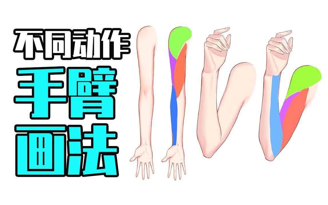 ...不同动作有什么注意要点?新手向手臂画法讲解!【绘画学习|板绘教程|...