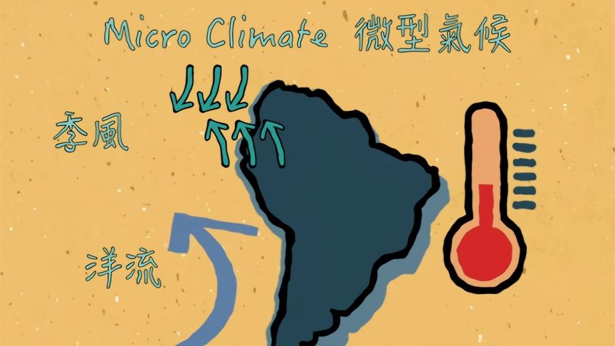 三分钟短动画,带你了解闻名于世的哥伦比亚咖啡豆