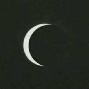 儒雅随和十一月 