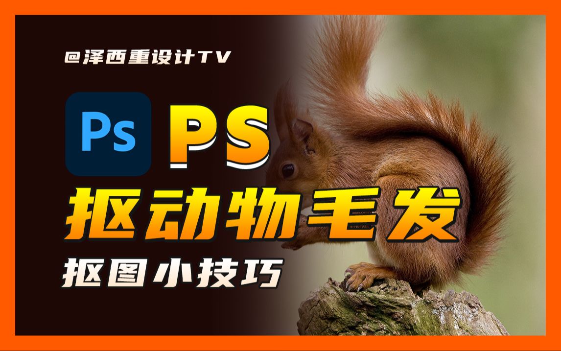 2025第一例!ps抠动物毛发教程!