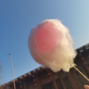 不能没有小狗呀 