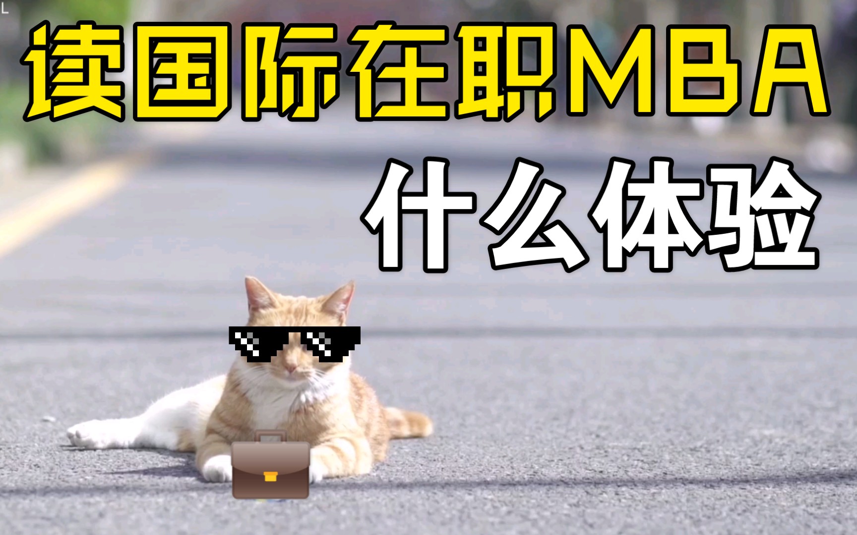 上海交通大学-法国凯致商学院国际在职MBA全新宣传片震撼来袭!