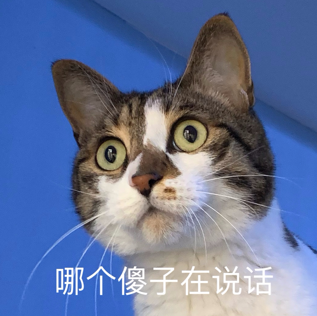 小鱼干与咸鱼不可兼得 