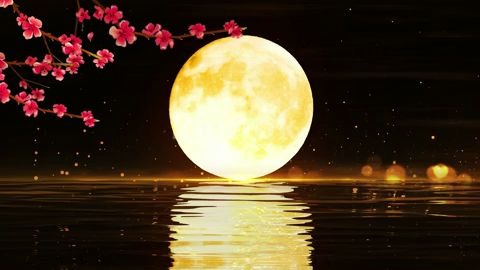 唯美月亮背景循环11,凌晨两点视频素材网,视频素材,视频素材下载