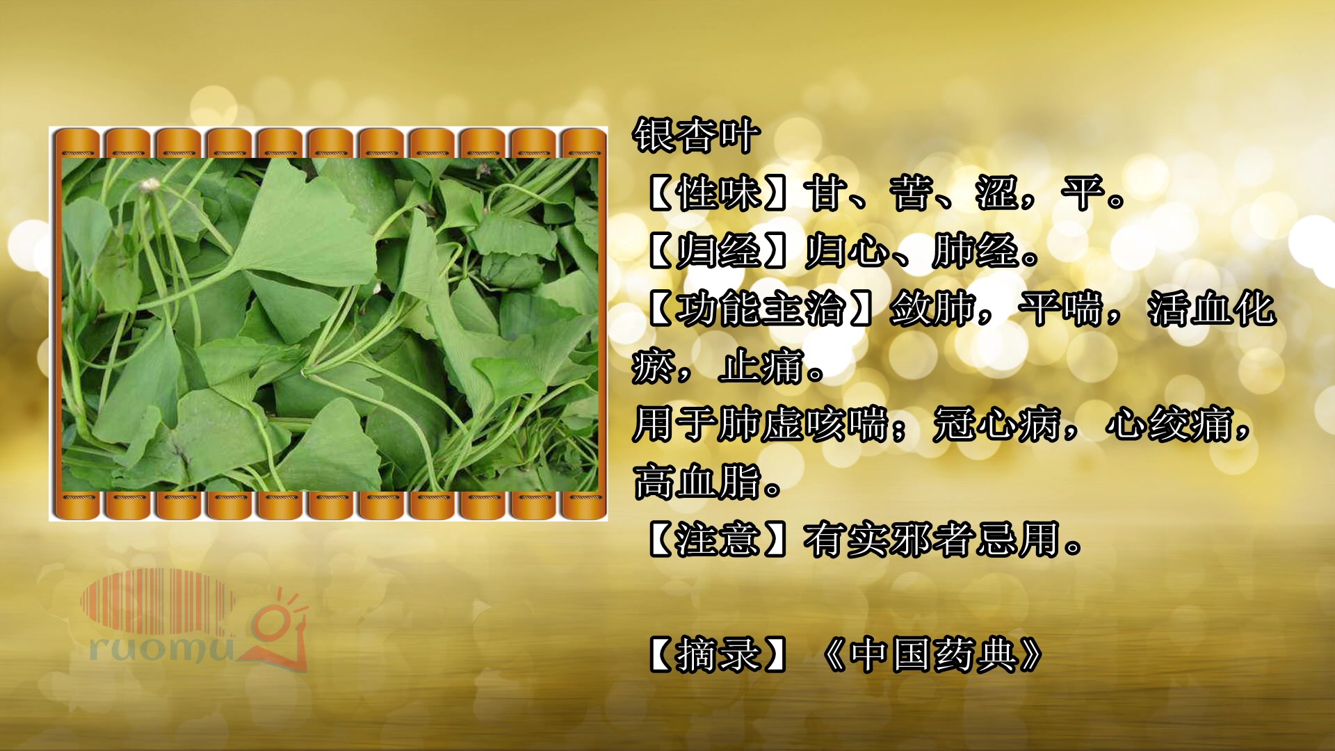 银杏叶-中医药材