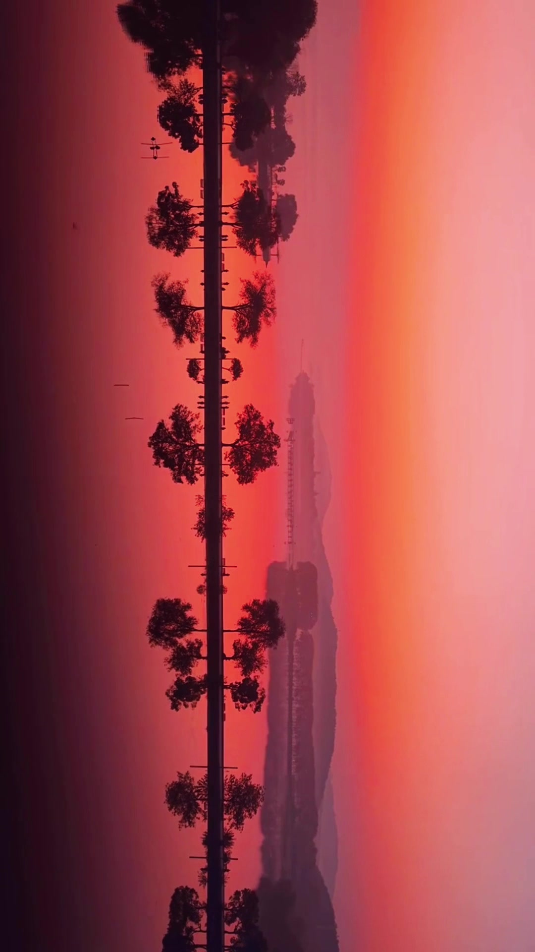 2026年中国会展经济国际合作论坛将于明年1月在武汉举办 前天(27日)...