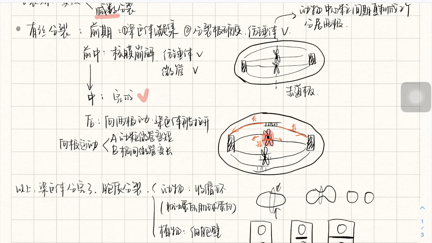 【细胞生物学】6分钟带你学会细胞增殖!学不会就…再学一遍!