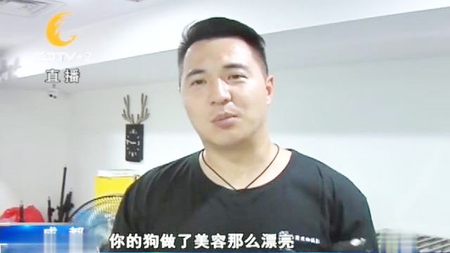 新兴职业兴起,宠物摄影师您知道吗?
