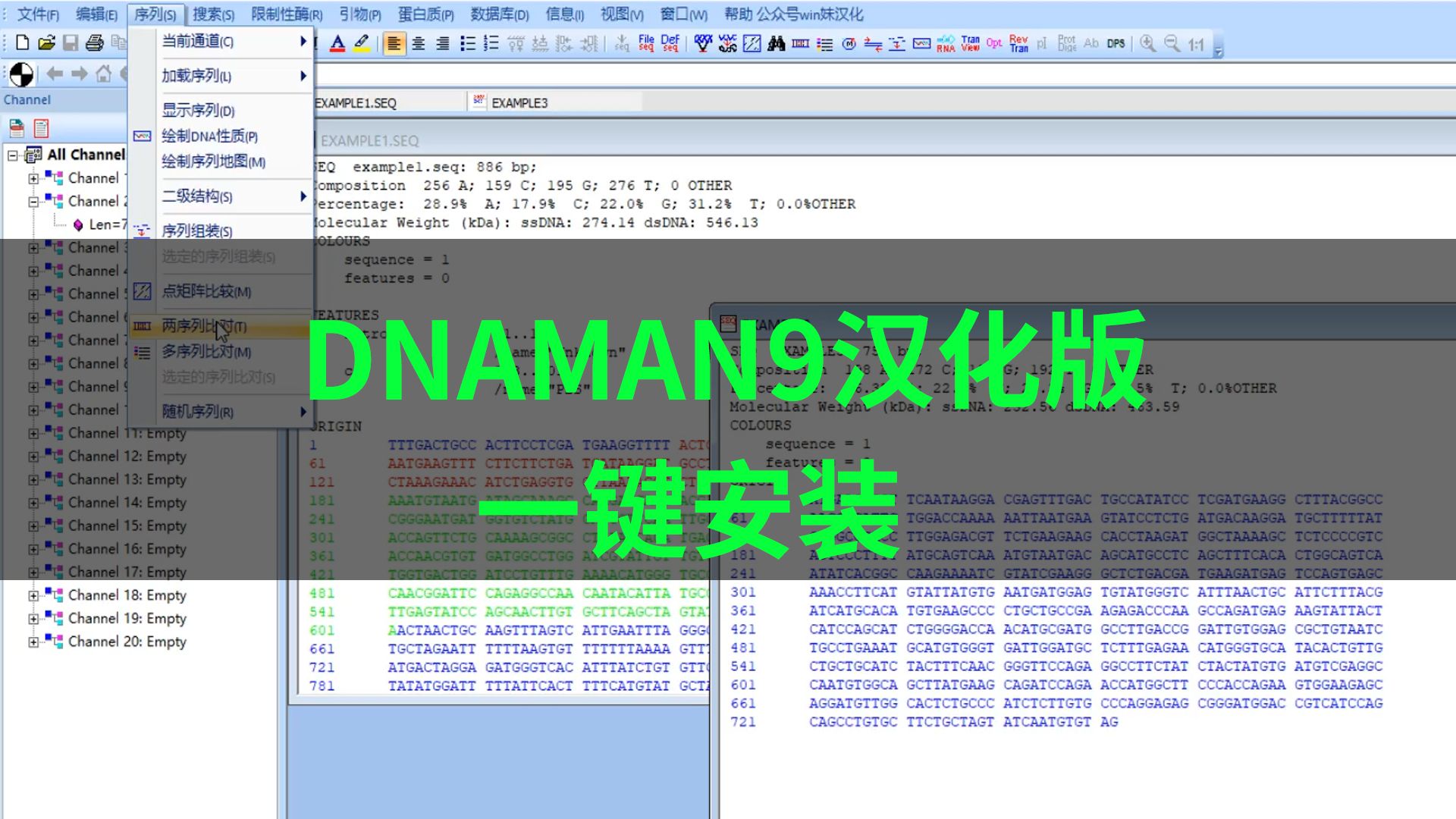 DnaMan9中文版汉化版 引物设计 序列对比软件一键安装