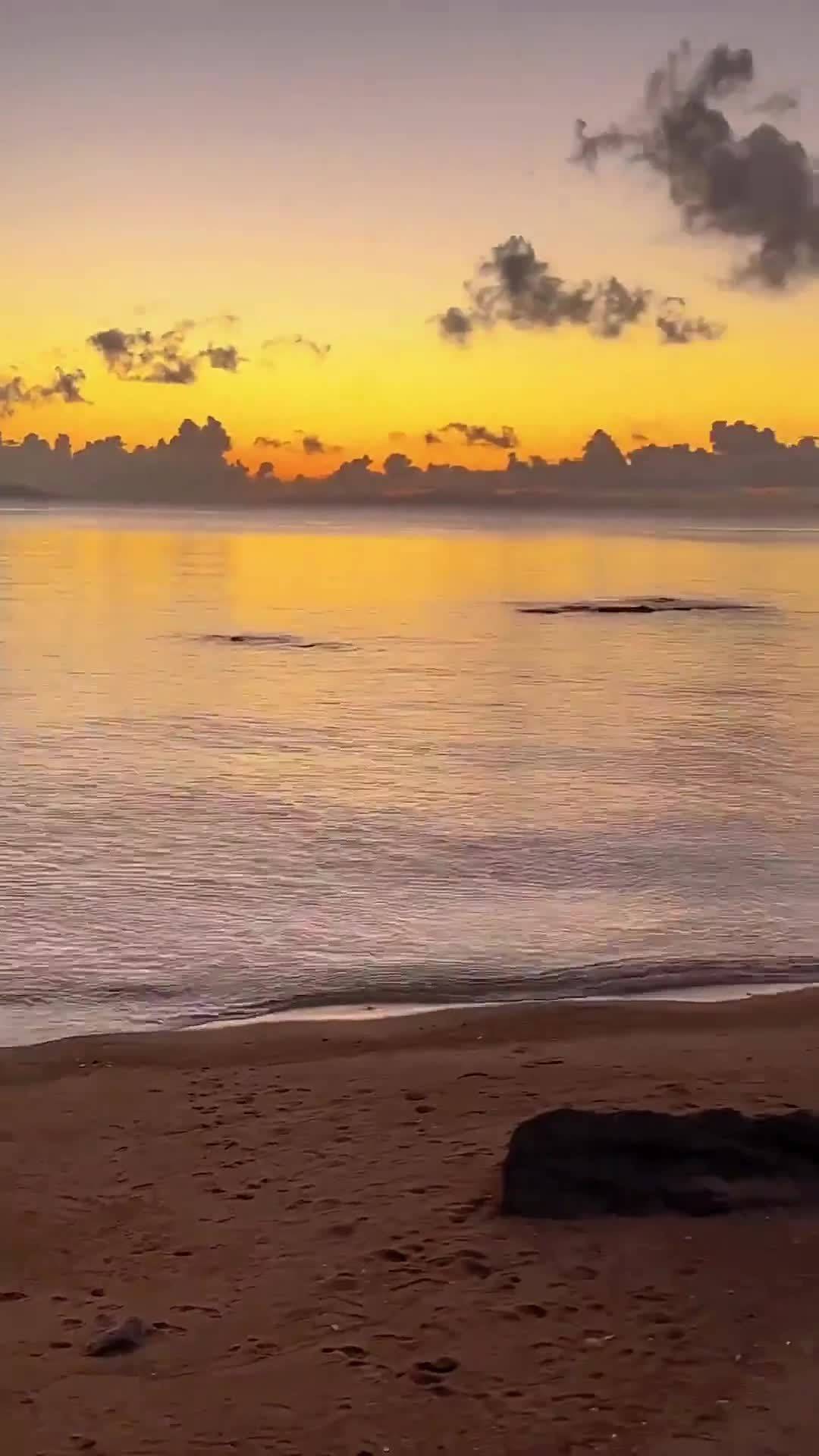 被你艾特的人 要陪你很久很久#交换世界计划