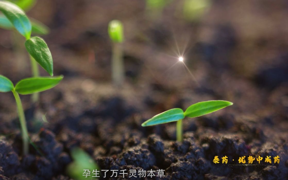 《秦药》记录陕西中医药发展 走进幸福制药了解热炎宁合剂