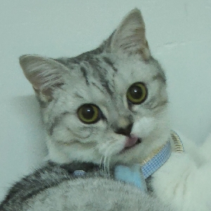 岛and线 