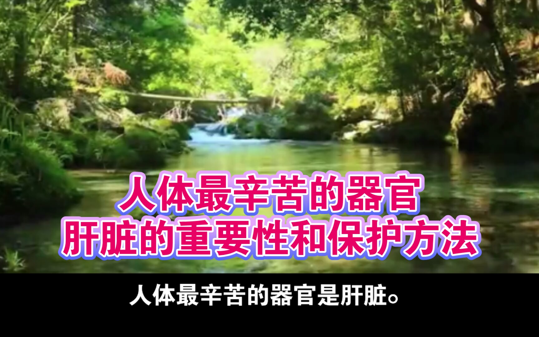 人体最辛苦的器官:肝脏的重要性和保护方法