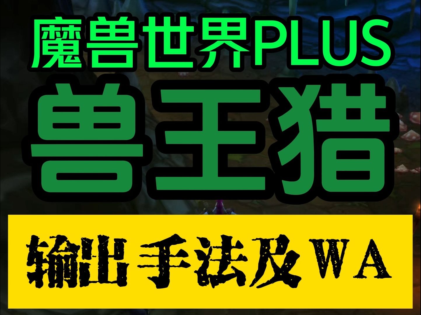 【魔兽世界PLUS】探索赛季兽王猎人LR 输出手法 打地鼠WA_哔哩...