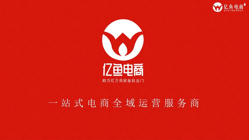 拼多多店铺一天订单两千多单,方法➕技术肯定没问题