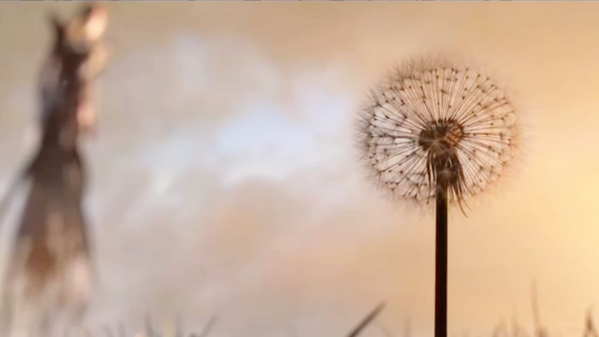 再完美的世界也有不完美的结局——《完美世界》