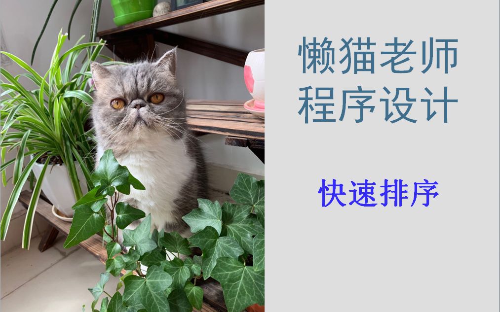 懒猫老师-数据结构-(64)快速排序