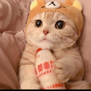BFU狗剩 