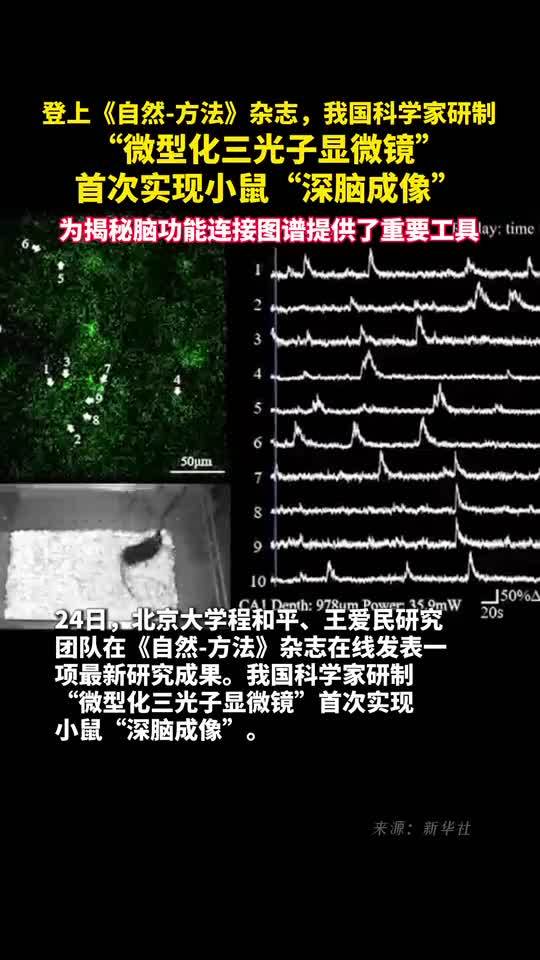 我国科学家研制 "微型化三光子显微镜",实现小鼠"深脑成像"