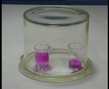 初中化学反应视频