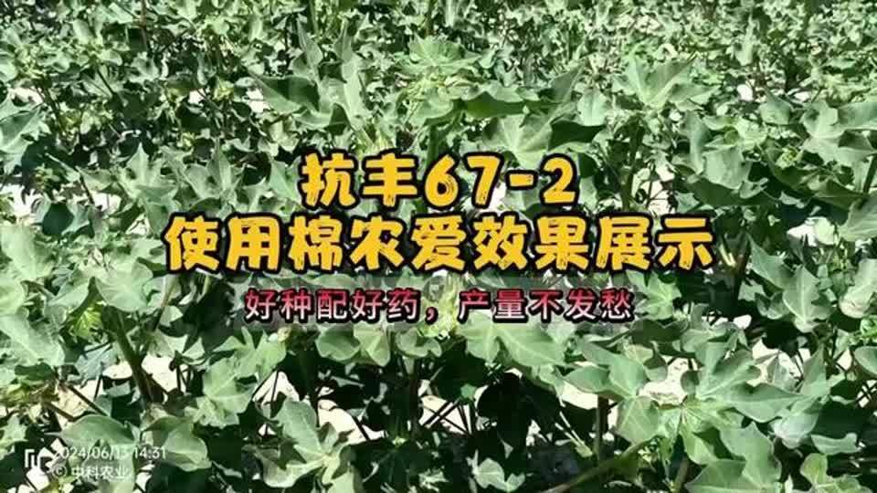 分享农业知识帮农民增产增收 关注我每天为你分享更多农业知识 帮助...